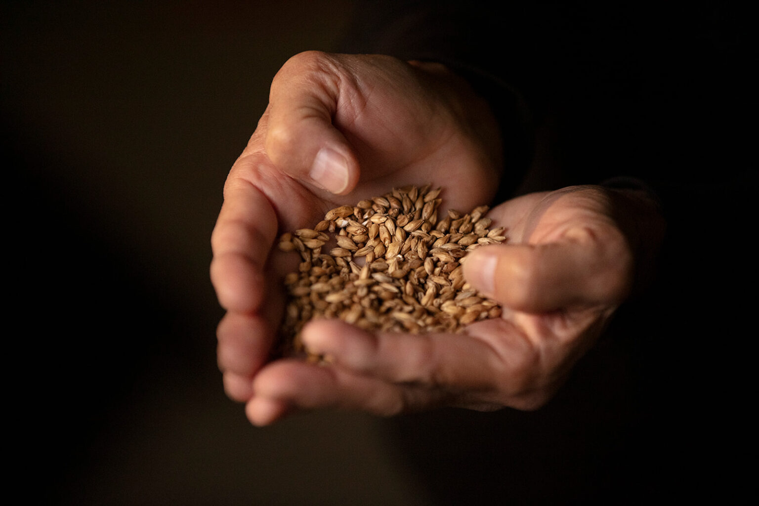 Our Story – Kirin Ichiban